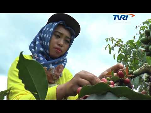 KOPI JAVA PREANGER - YouTube