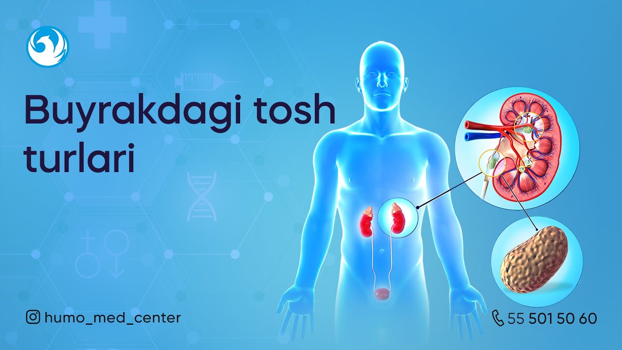 BUYRAKDAGI TOSH TURLARI - YouTube