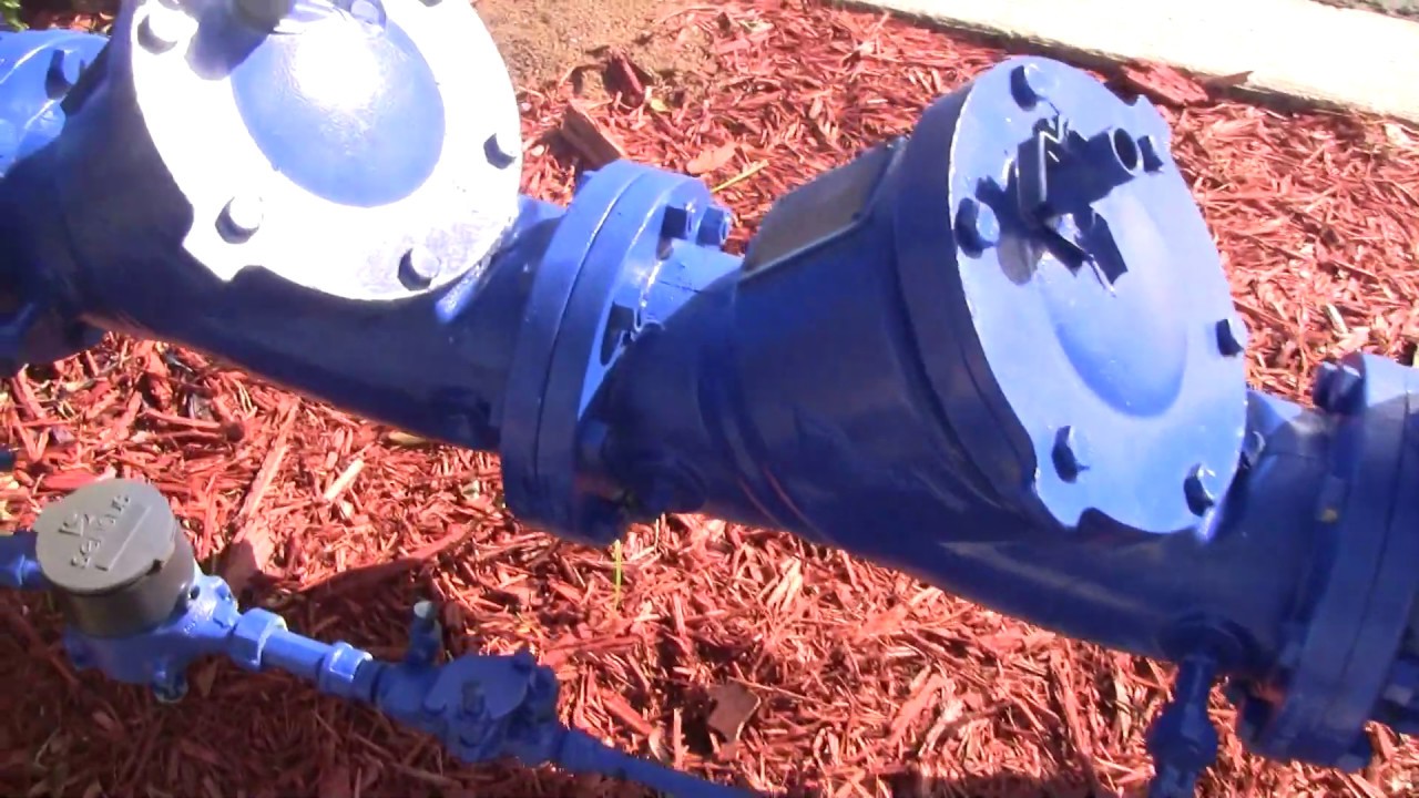 Watts Model 709DCDA Double Check Detector Assembly - Backflow ...