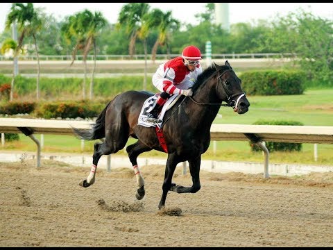 EXCLUSIVO - Clásico Antonio R. Barceló 2018 - YouTube