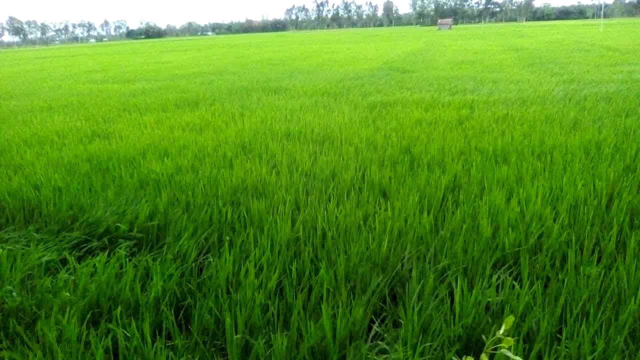 দেখুন prokitir ki apurup batash - YouTube