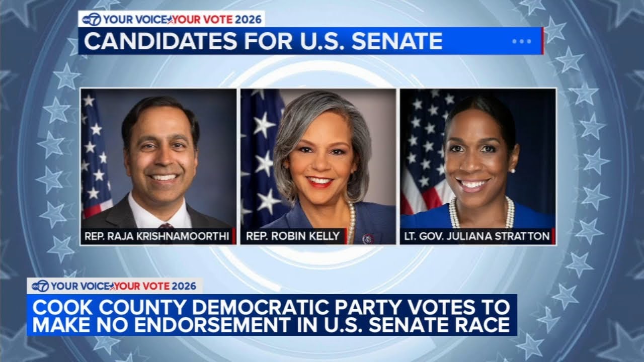 Cook County Democratic Party votes not to endorse in US Senate race ...