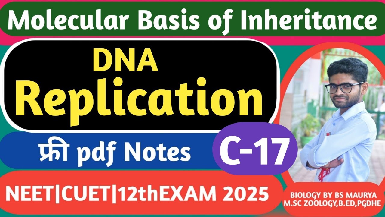 DNA REPLICATION|REPLICATION NEET BIOLOGY|MOLECULAR BASIS OF INHERITANCE ...