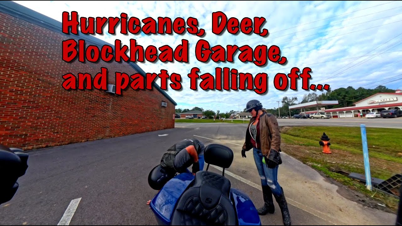 Hurricane Deer Blockhead Garage - YouTube