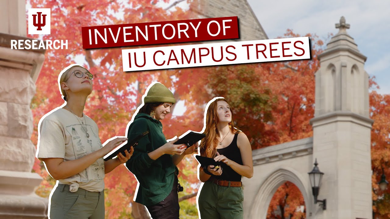 IU Students Study Long-Term Impact of Campus Trees - YouTube