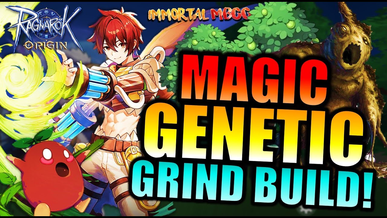 MDMG GENETIC 4-SPOT GRIND BUILD!! - RAGNAROK ORIGIN - YouTube