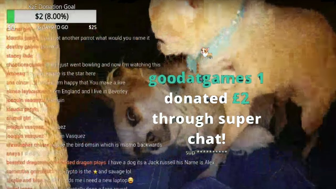 StreamLabs SUPERCHAT Video Test. Setting up Youtube Live With TEXT TO ...