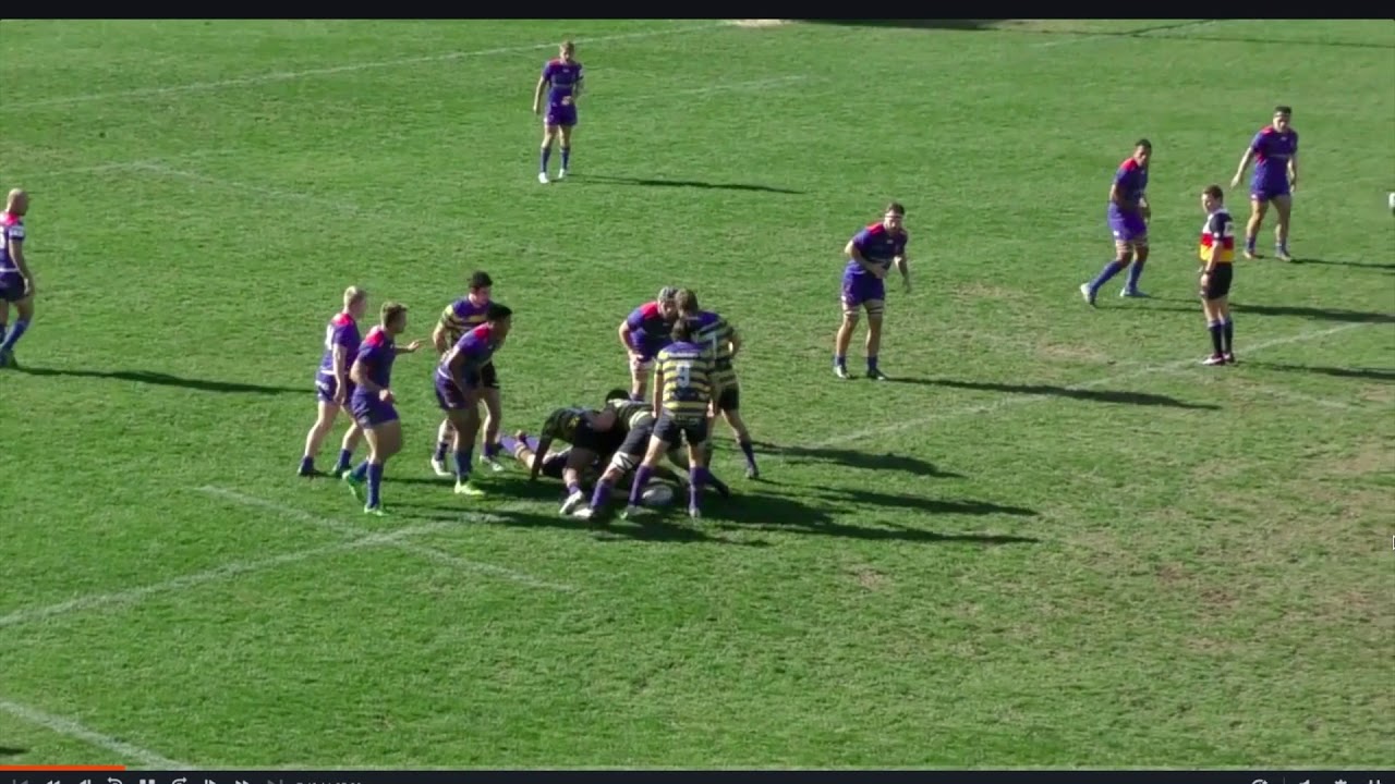 Halfback Highlights 2019 - YouTube