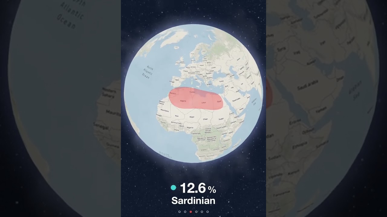 MyHeritage Dna test result - Portuguese - YouTube