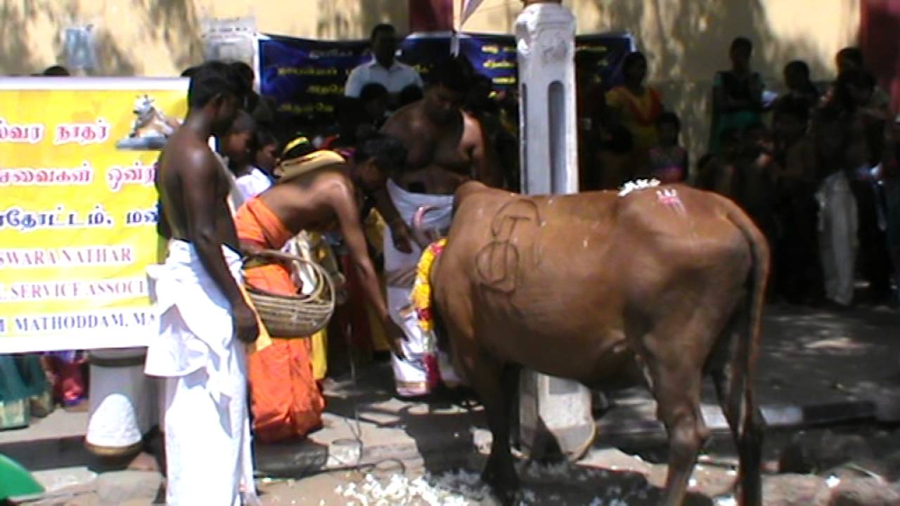 pooja to Gowri - ko matha of Thiruketheeswaram temple - YouTube