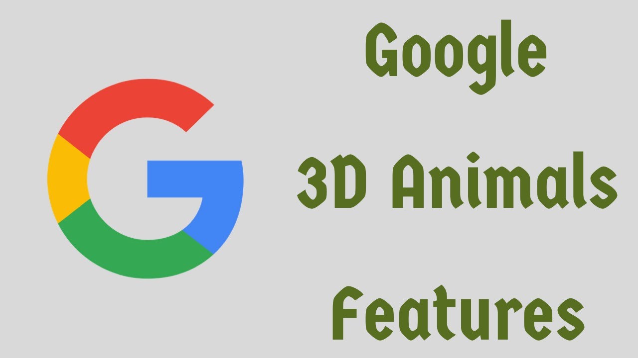 Google 3D Animals Features - YouTube