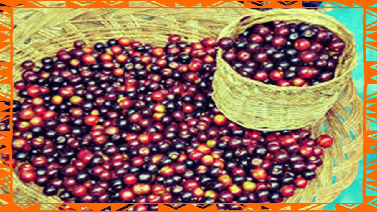 Beneficios Del Capulí Propiedades Y Beneficios Para La Salud - YouTube