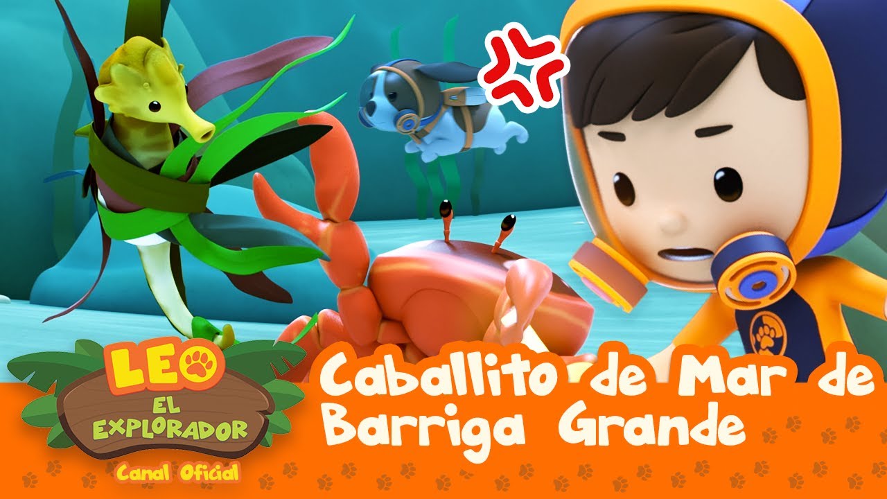 Caballito de Mar de Barriga Grande | Leo, El Explorador Episodio ...