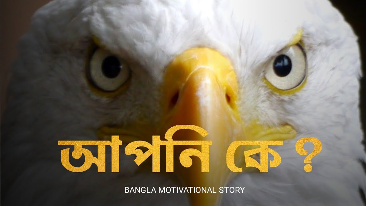The Eagle Story - Best Motivational Video | Jit Das Official - YouTube