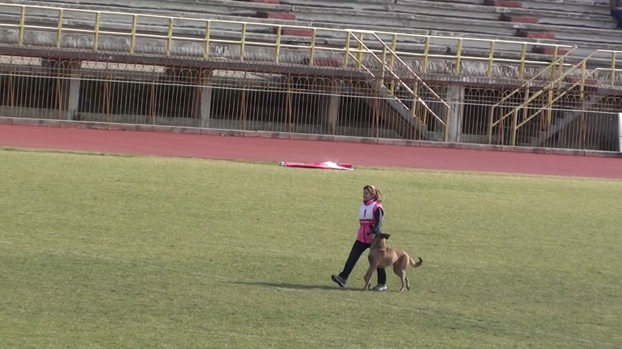 FOSTER VERANIS K-9 DOG CENTER - YouTube