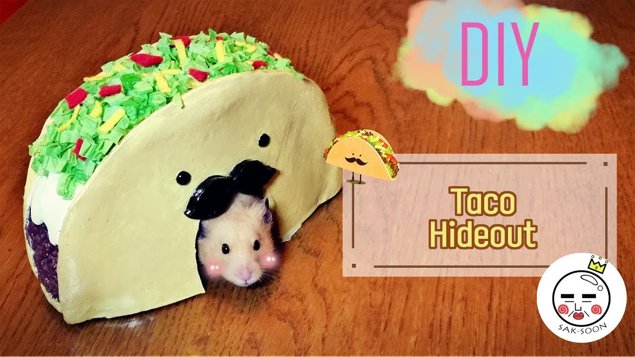 DIY | HAMSTER - Taco House - YouTube