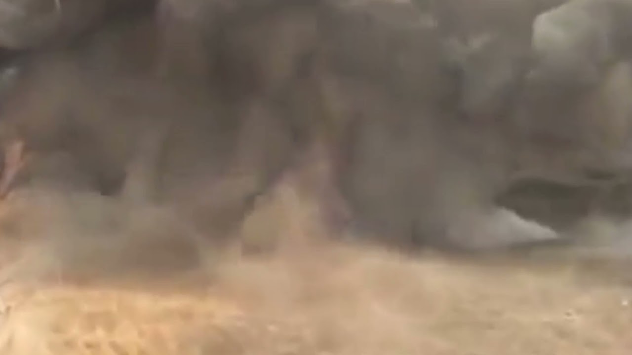 explosion meme #2 - YouTube