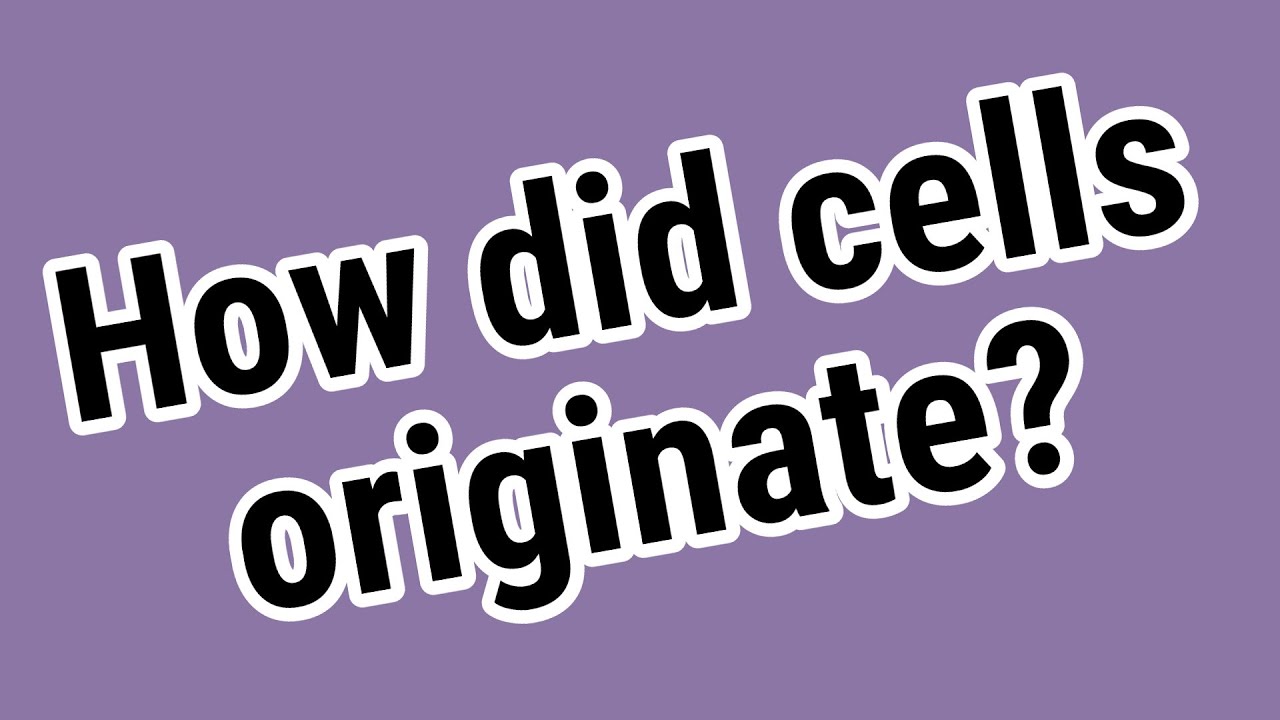 How Did Cells Originate YouTube how-did-cells-originate-youtube