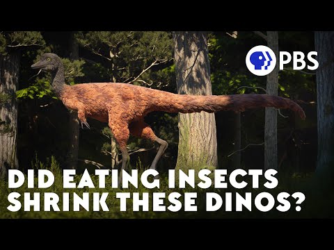 What Dinosaur Evolved Into Insects