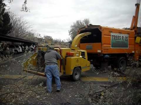 Wood Chipper used for Tree Removal - YouTube