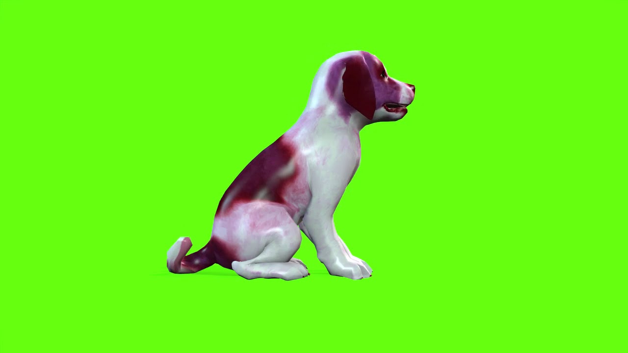 Green Screen Puppy Animation Puppy Green Screen Video - YouTube