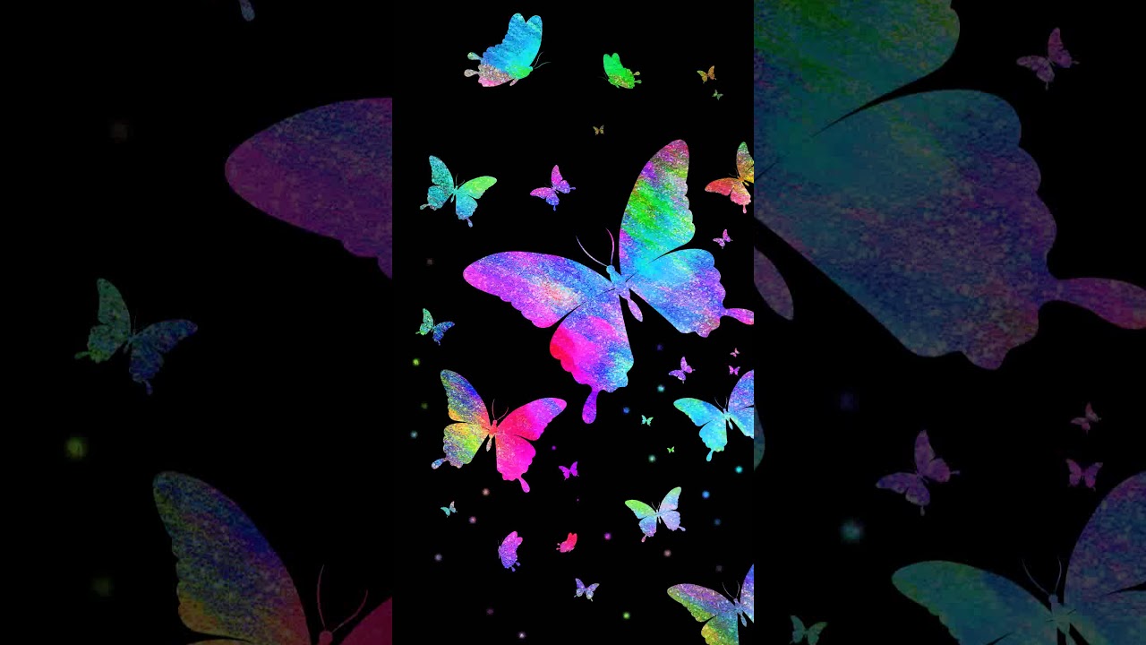Butterfly Scratch Animated - YouTube