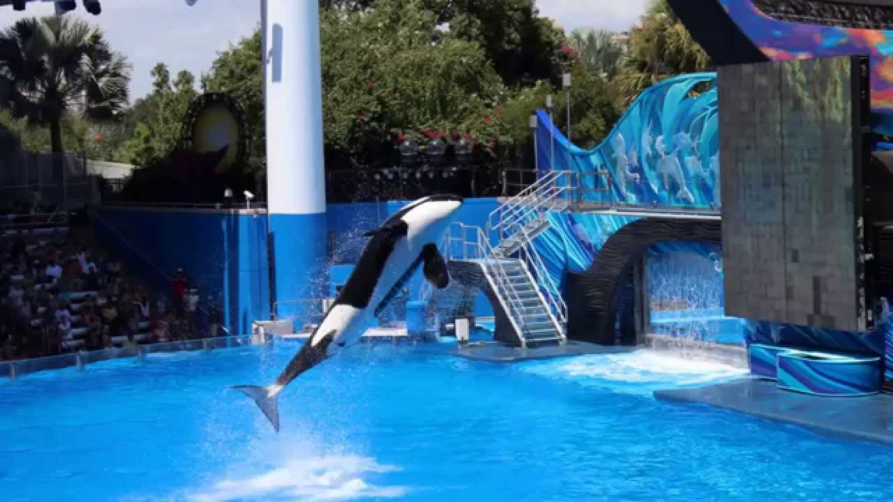 Disney Sea world - YouTube