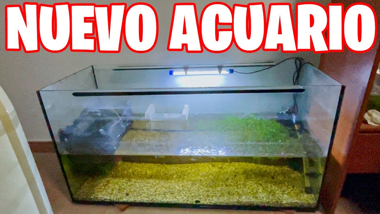 MI NUEVO ACUARIO DE 200 LITROS - YouTube