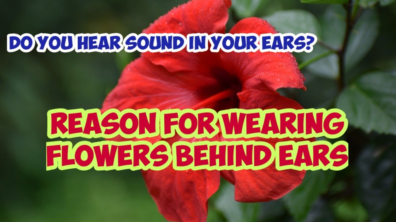 Spiritual Reason for placing Flowers behind ears || Do you hear sounds ...