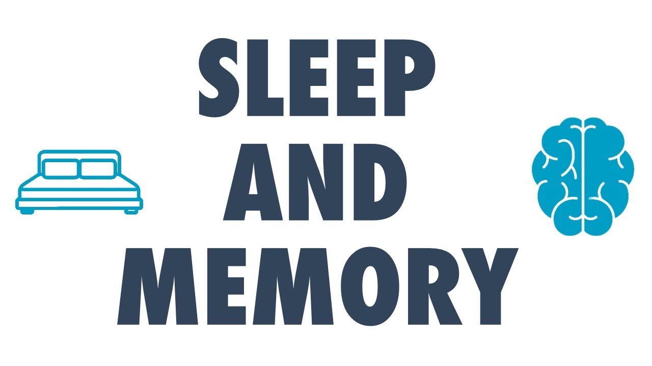 Why sleep is important for your memory - YouTube