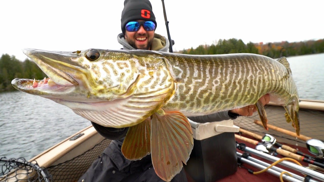 EPIC 4 Fish Day Fishing New Water!! - YouTube