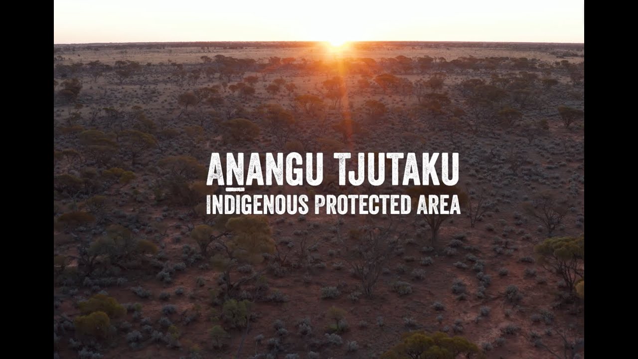 Anangu Tjutaku Indigenous Protected Area - YouTube