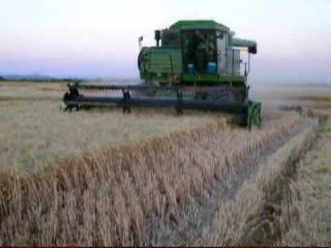 Maquinas trillando trigo Sonora - YouTube