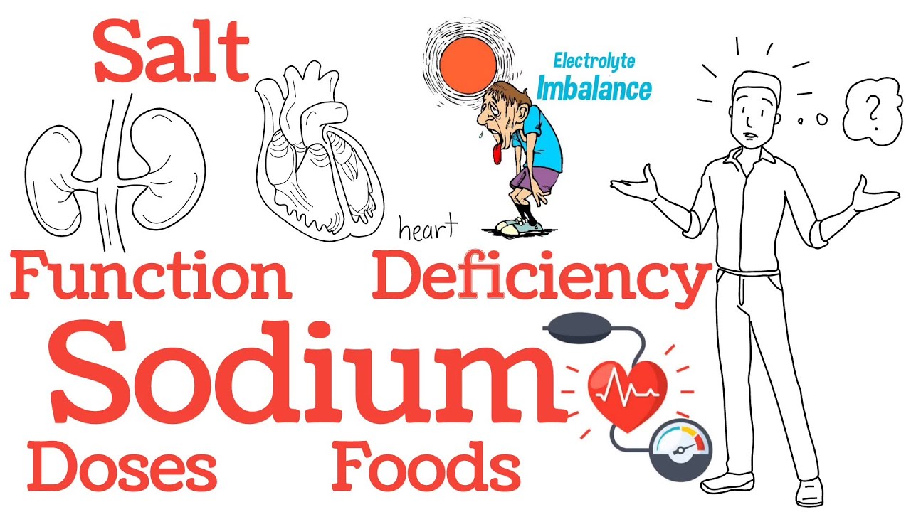 What is Sodium? | Sodium Function, Dietary Sources, Causes, Symptoms ...