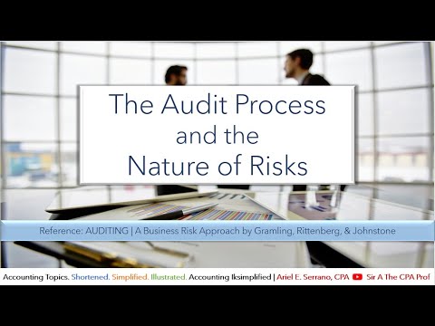 The Audit Process and the Nature of Risks | Business vs FR vs ...