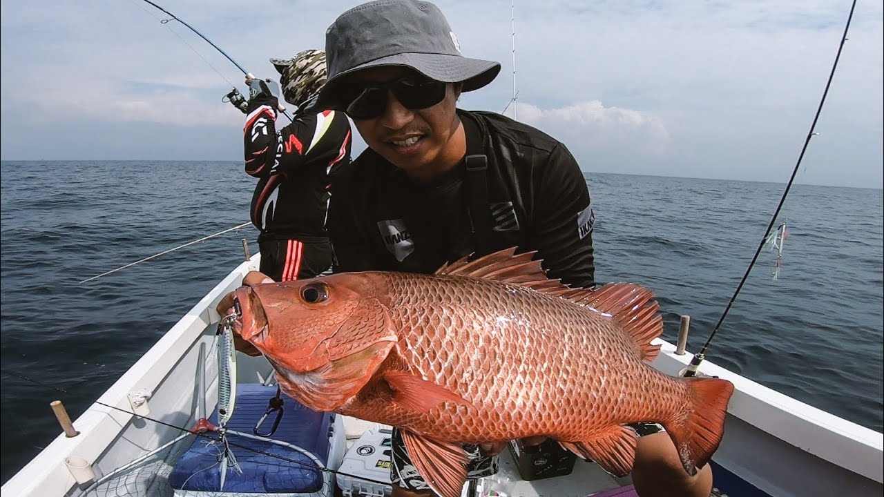 UNGAH | SIAKAP MERAH | TAKAT Mantap!! - YouTube