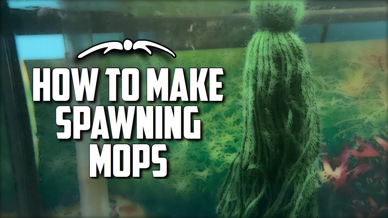 How To: Making Spawning Mops // Kentucky Orandas - YouTube