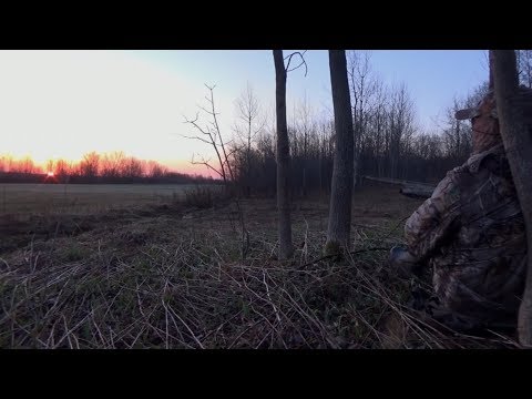 New York Turkey Hunt!