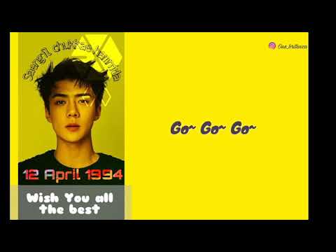 Oh Sehun (EXO) - GO [LYRIC]