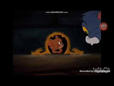 CAT NAPPING 1951 INTRO