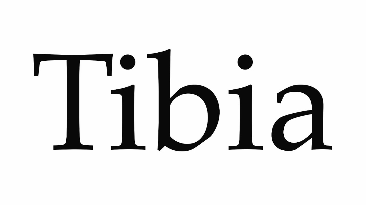 How to Pronounce Tibia - YouTube