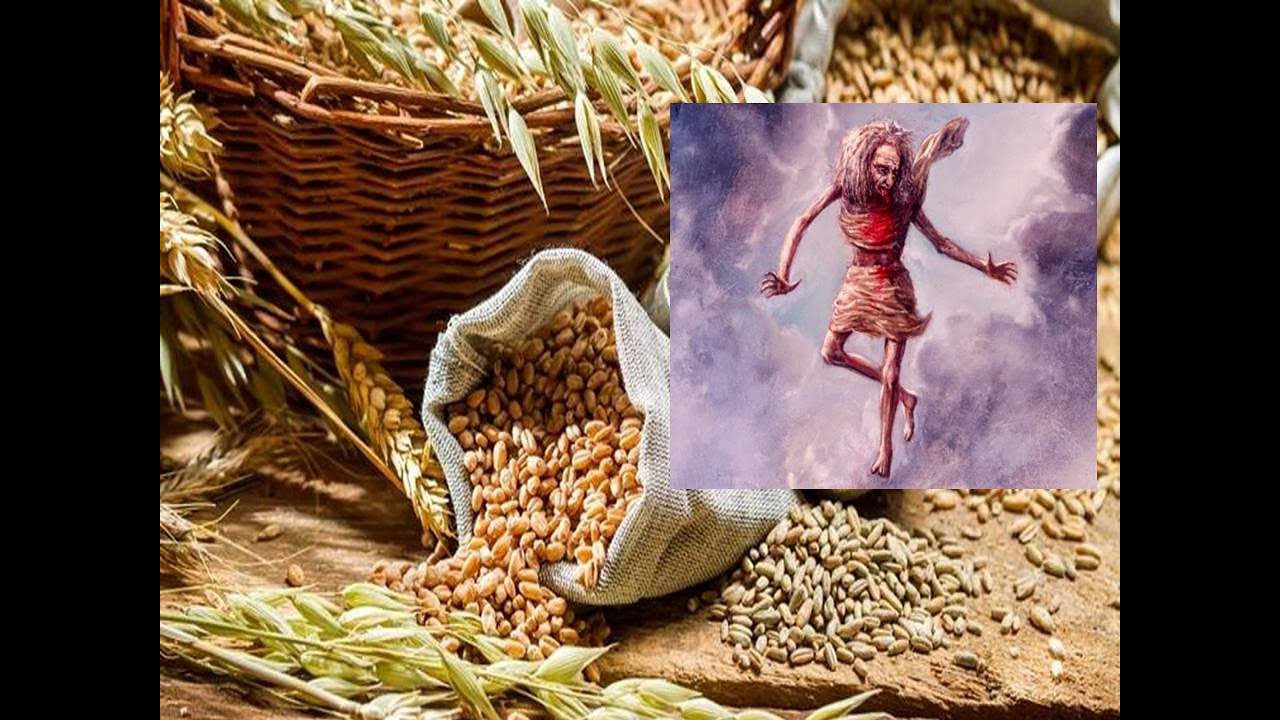 Why grains should not be eaten during Ekadashi?What foods should be ...