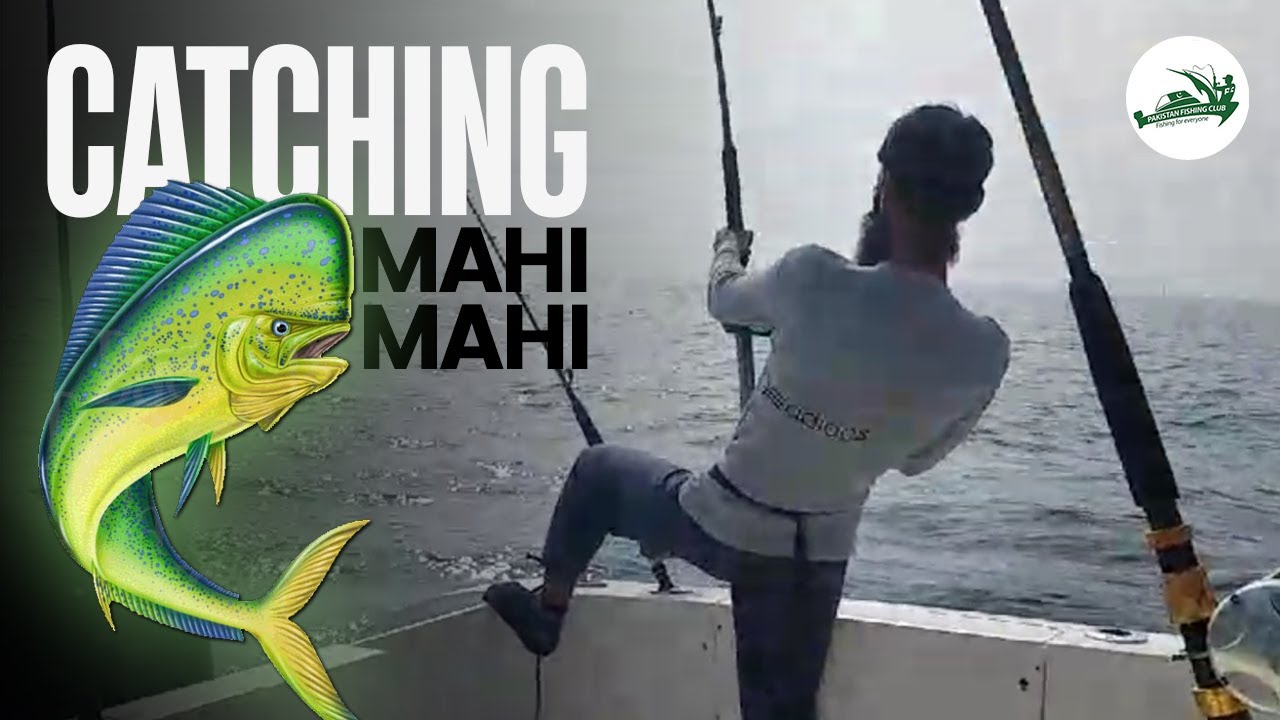 Catching Mahi Mahi (Ambrose) Fish - Pakistan Fishing Club - YouTube