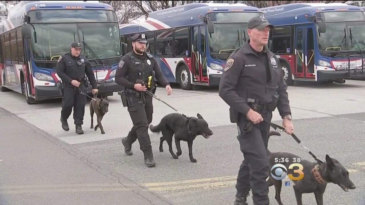 Graduation Day For Local Law Enforcement Canines - YouTube