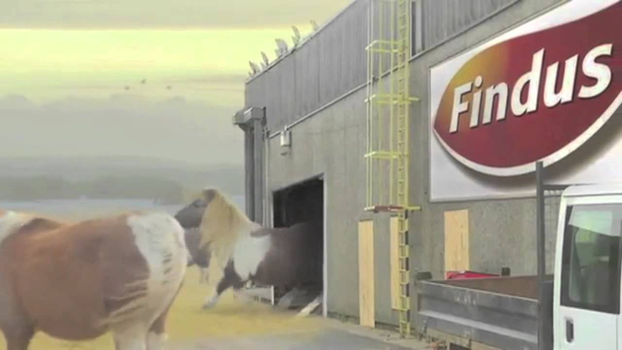 Findus Pony Advert - YouTube