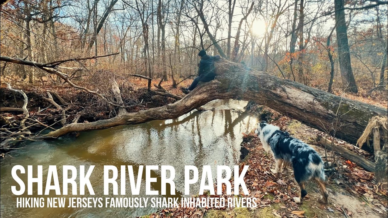 Shark River Park: Enjoying New Jersey’s Many Monmouth County Parks ...