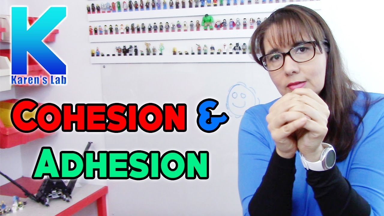 Cohesion, Adhesion, Capillarity, Solubility | Karen's Lab - YouTube