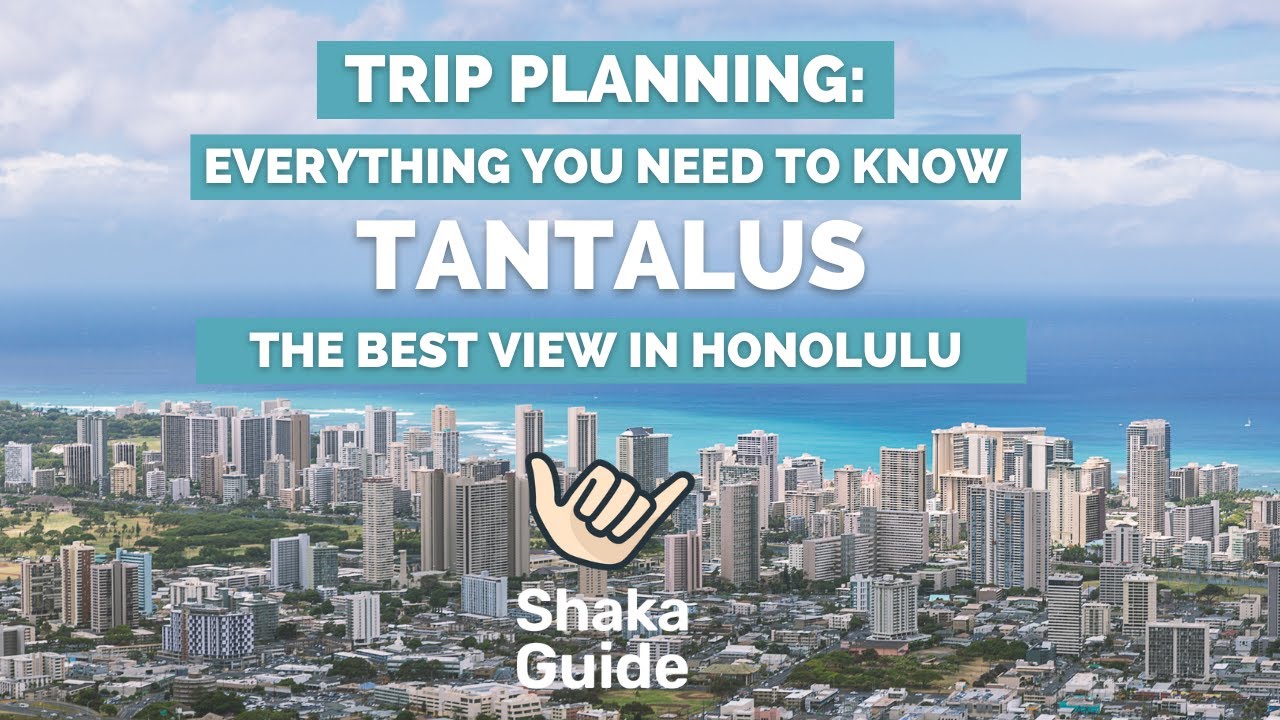 Everything You Need to Know About Tantalus Lookout - The Best View in ...