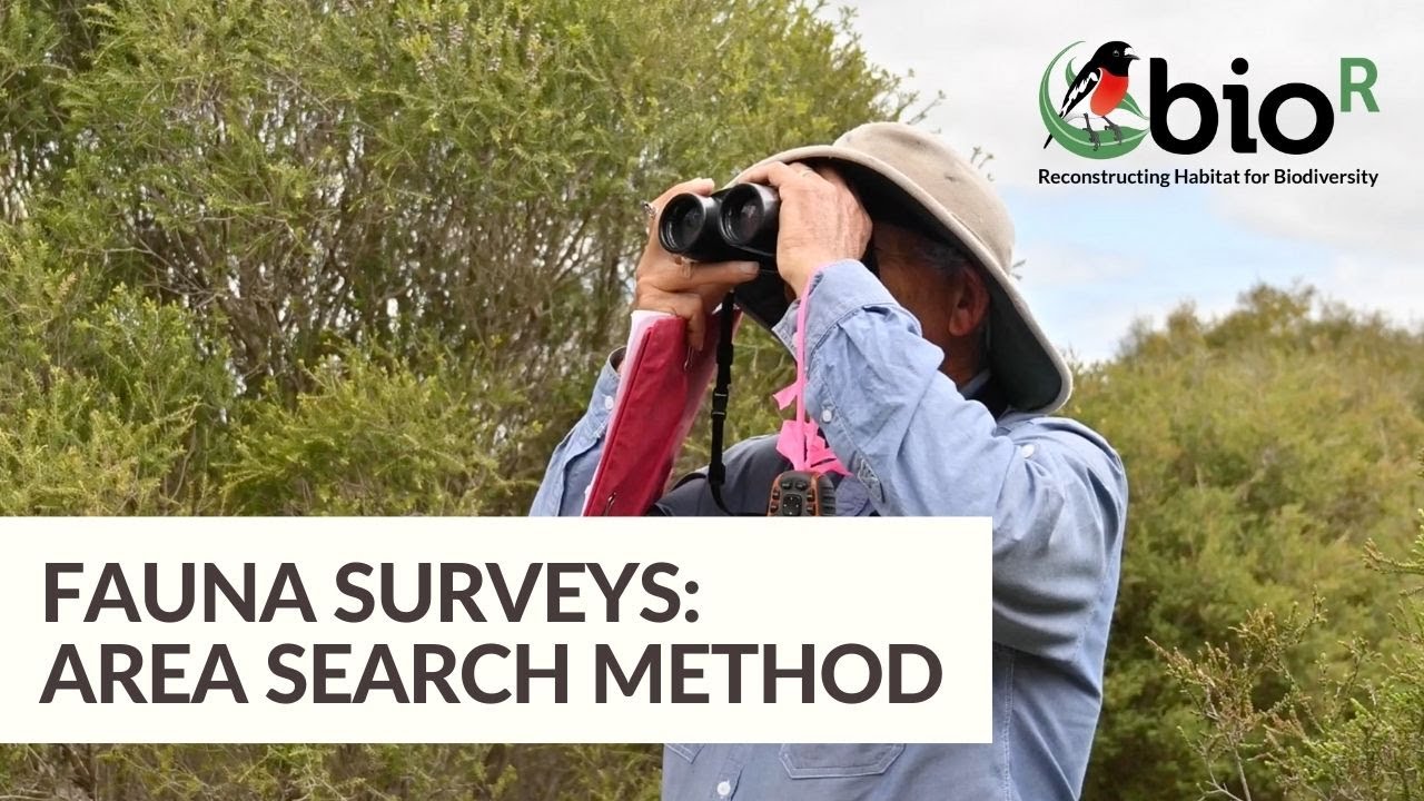 Fauna Surveys: Area Search Method | Bio·R Australia - YouTube