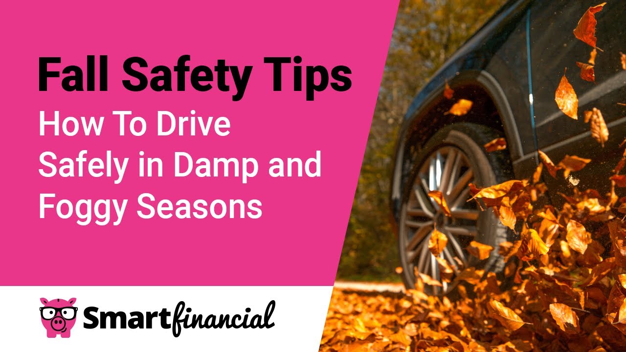 Navigating Autumn Hazards: Fall Safety Tips for Driving in Damp and ...